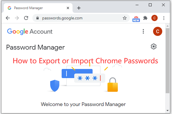 How To View Saved Passwords Firefox Firefox Password Manager Minitool