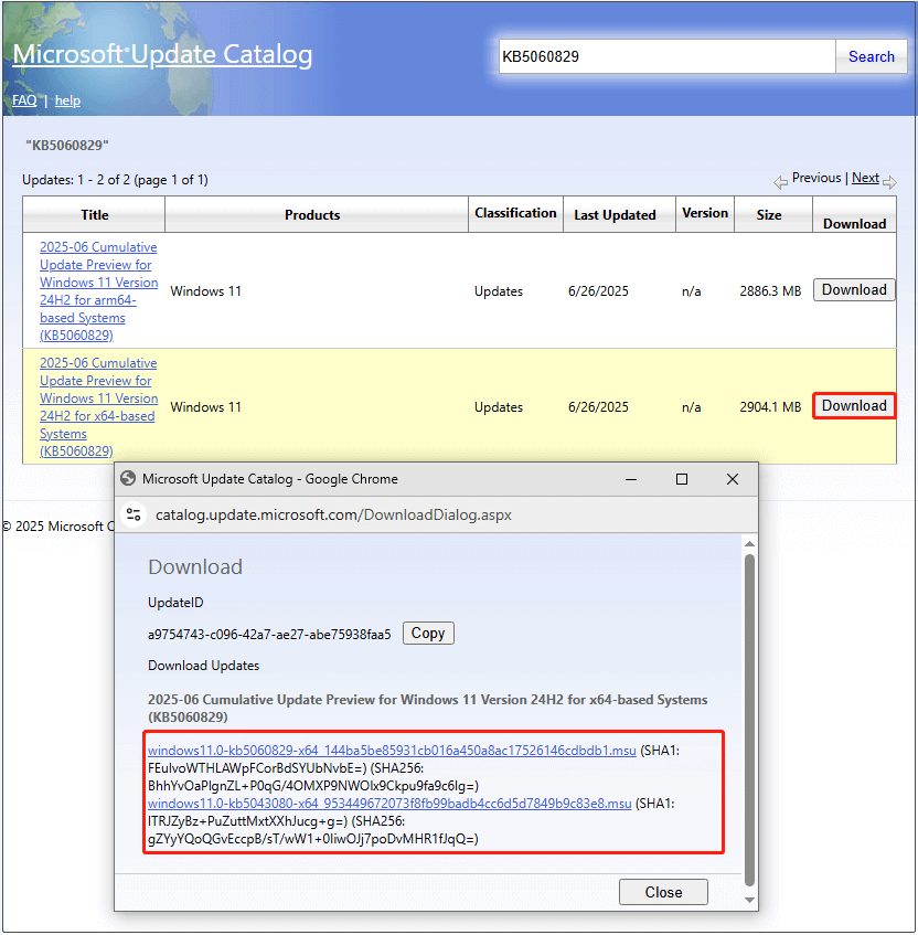 How to Fix KB5060829 Not Installing & Other Reported Bugs